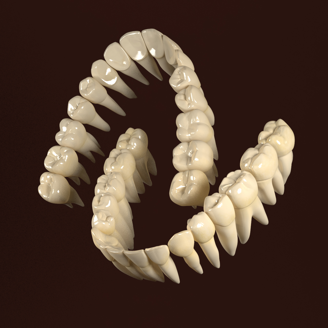 max realistic teeth gums tongue