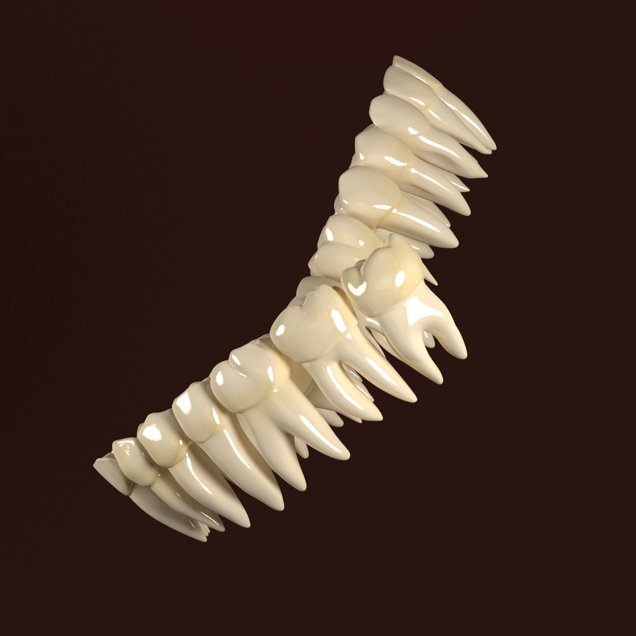 max realistic teeth gums tongue