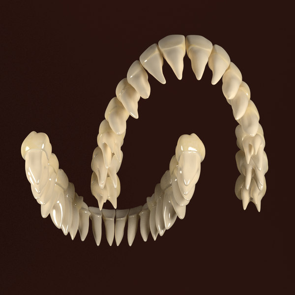 max realistic teeth gums tongue