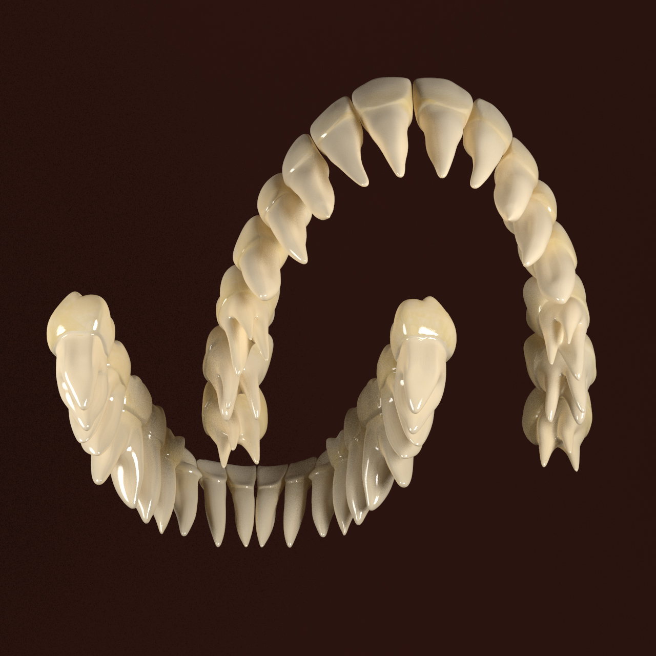 max realistic teeth gums tongue