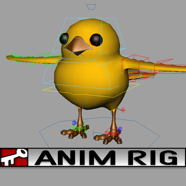Cartoon Bird 3D Models for Download | TurboSquid