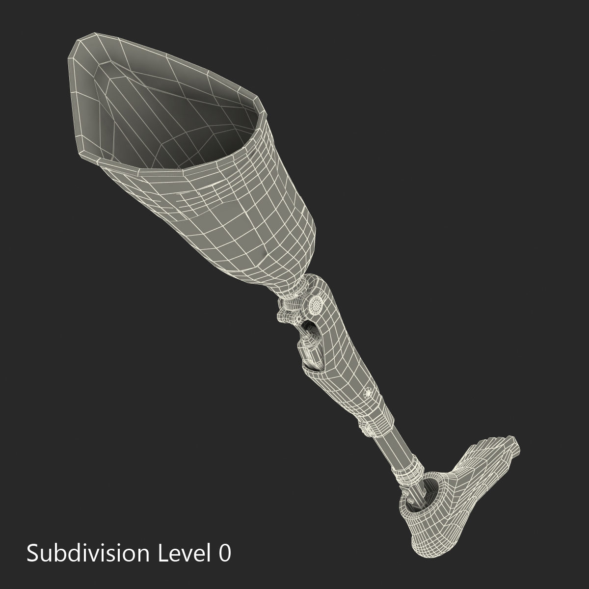 prosthetic leg 3d max
