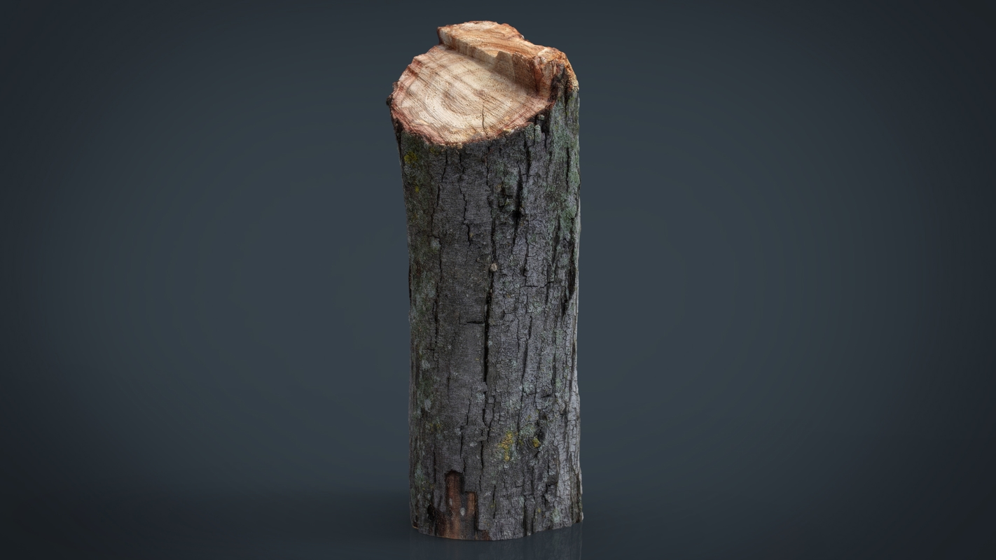 realistic wood log x
