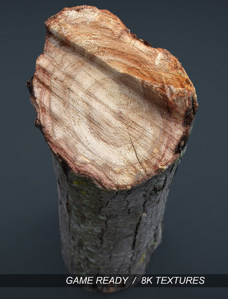 realistic wood log x