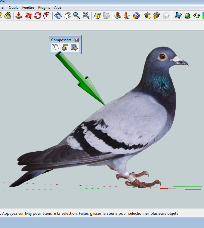 3d model of 2d dynamic pigeons