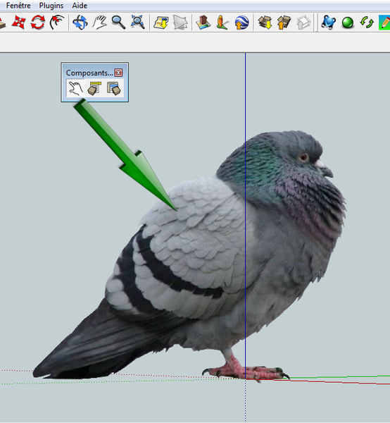 3d model of 2d dynamic pigeons