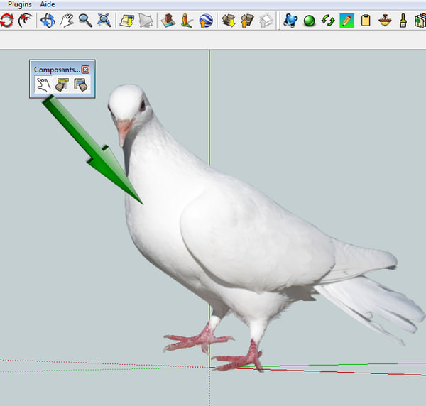 3d model of 2d dynamic pigeons