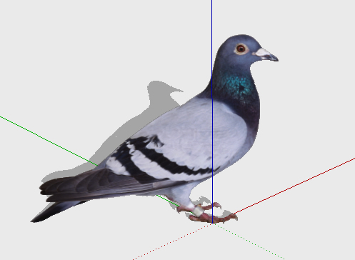 3d model of 2d dynamic pigeons