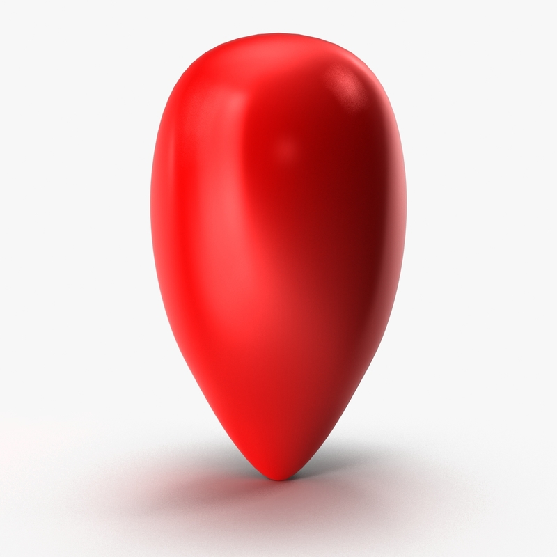 3d heart shape model