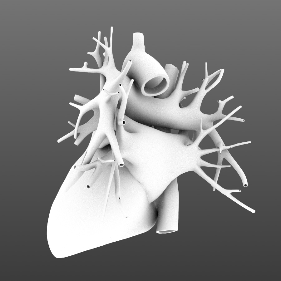 human heart animation 3d model
