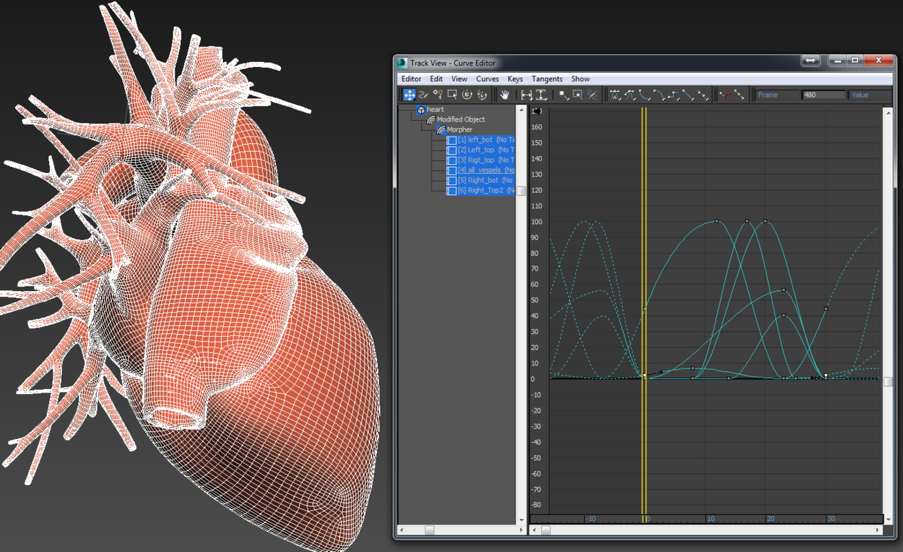 human heart animation 3d model
