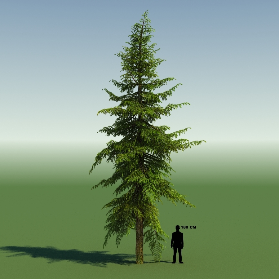 3d tree