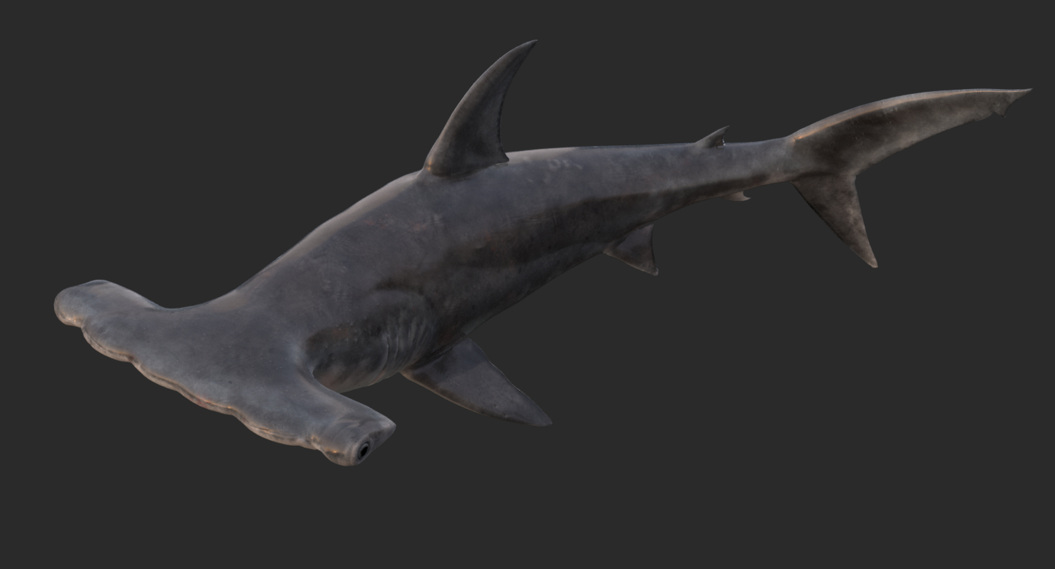 realistic hammerhead shark rigged 3d max