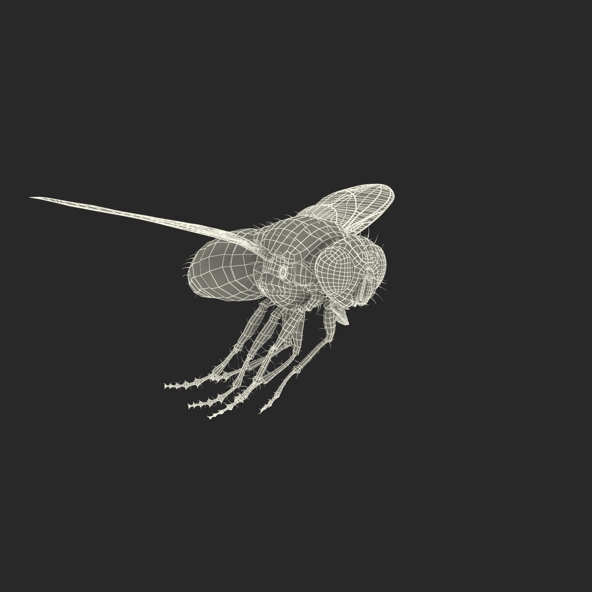 modèle 3D de Mouche bouteille verte pose 3 - TurboSquid 1001735