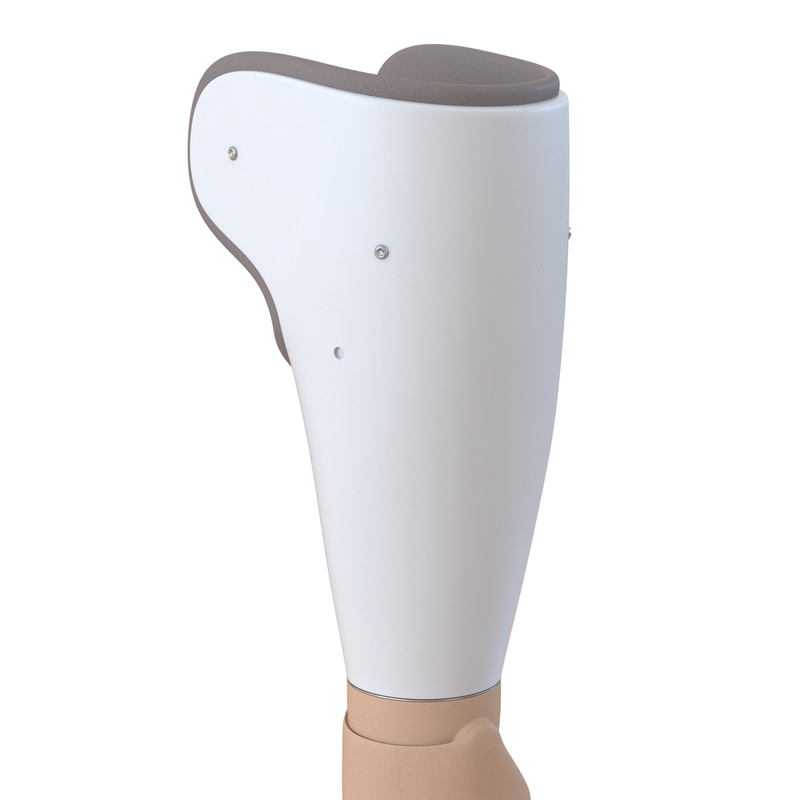 prosthetic arm rigged max