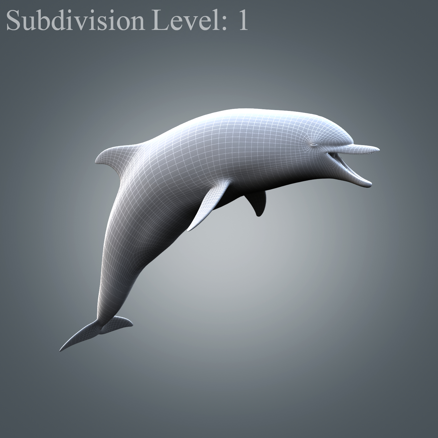realistic dolphin rig 3d model