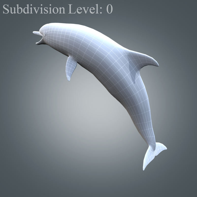 realistic dolphin rig 3d model