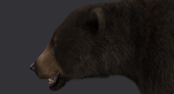 3d bear 2 fur model