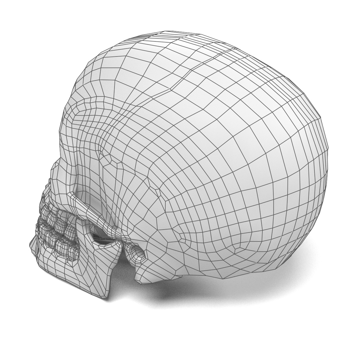 male skull 3d model