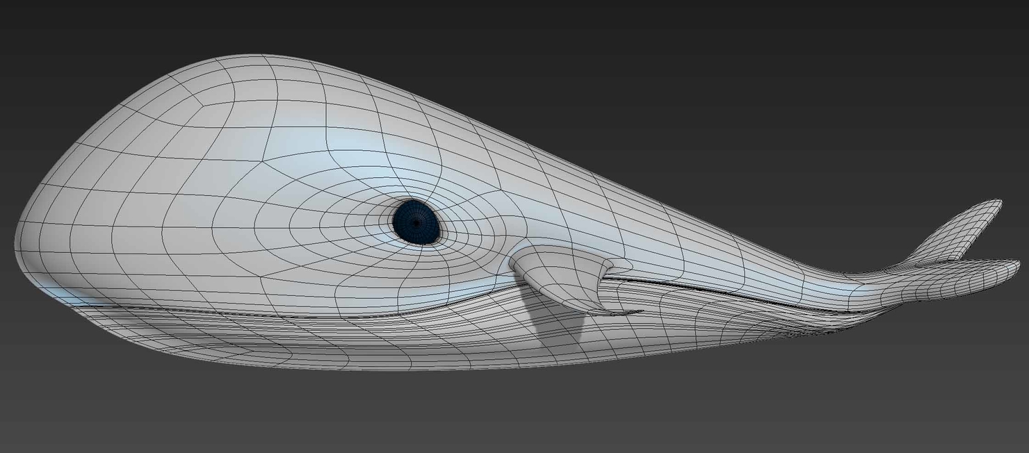 whale 3d model