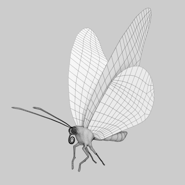butterfly 3d model