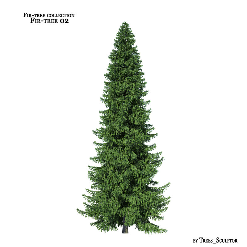 3d fir-tree tree
