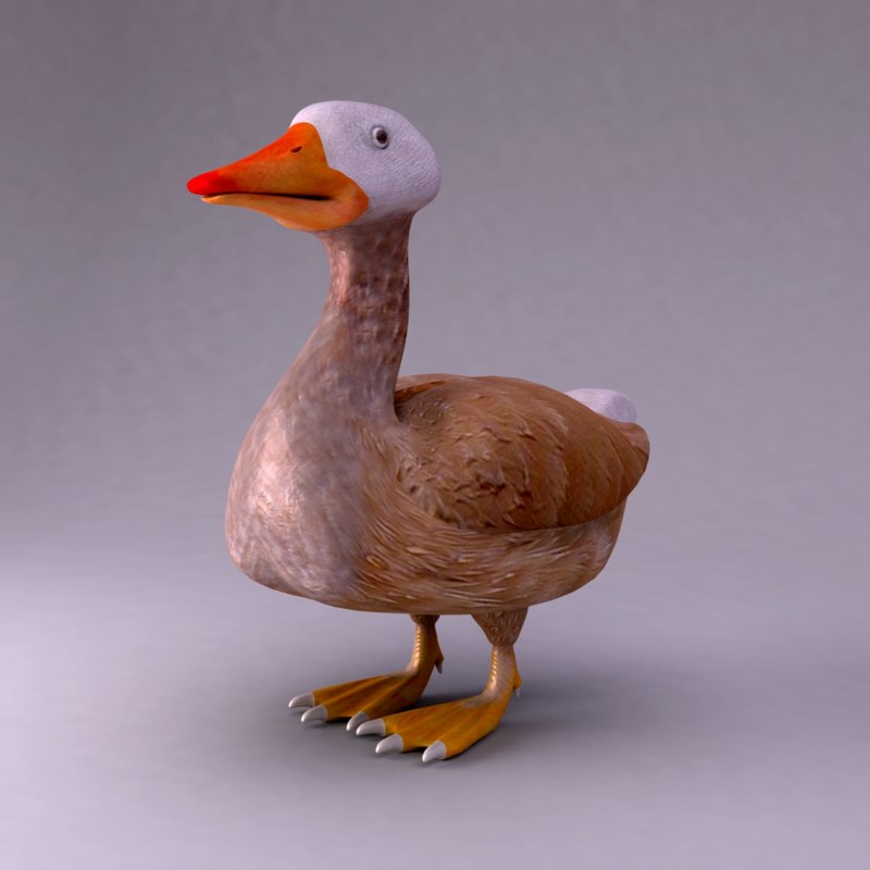 3d cartoon duck model