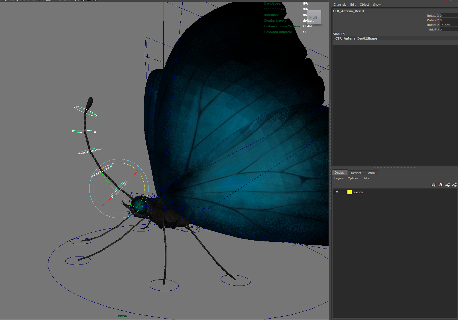 butterfly rigged obj
