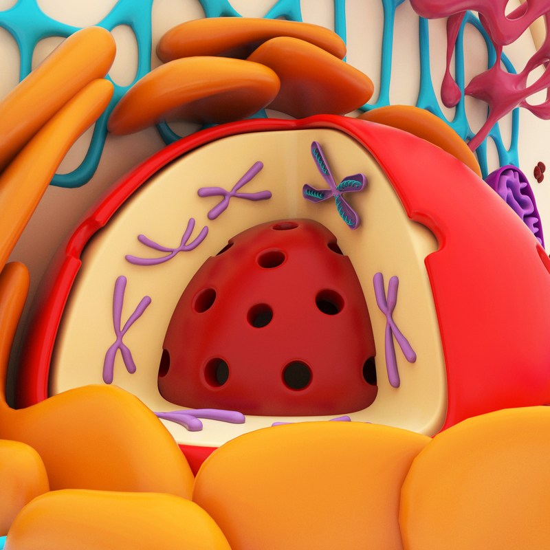 3d model cell