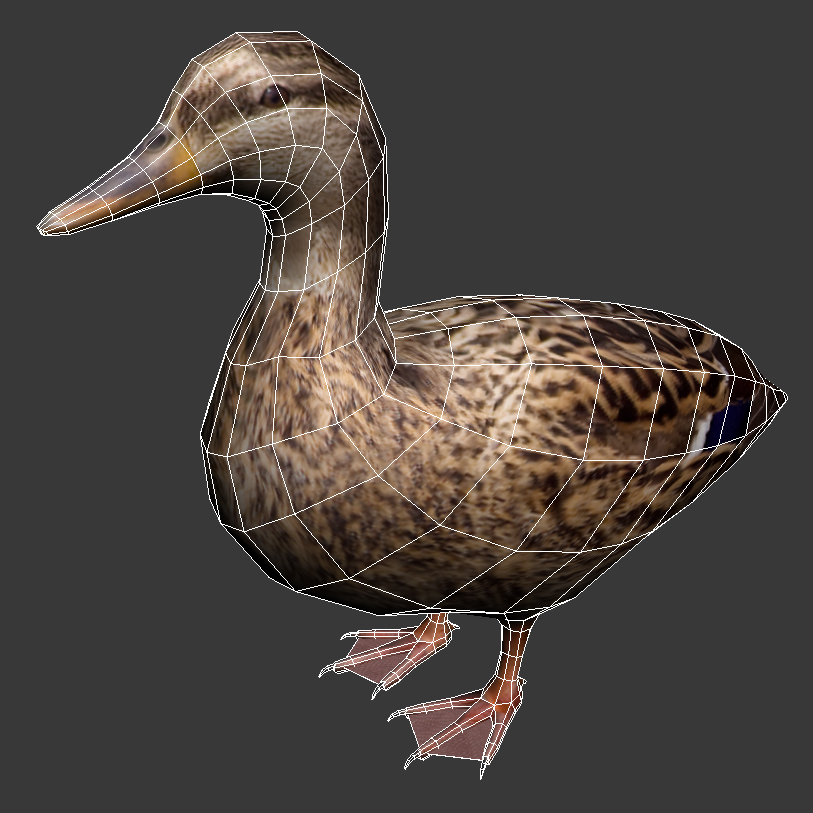 birds 12 3d model