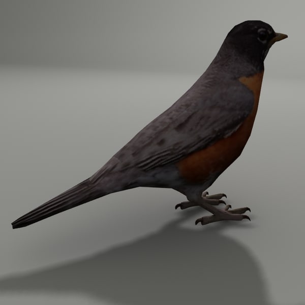 birds 12 3d model