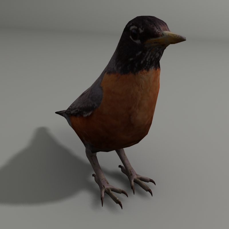 birds 12 3d model