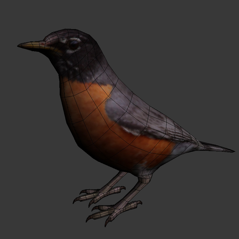 birds 12 3d model