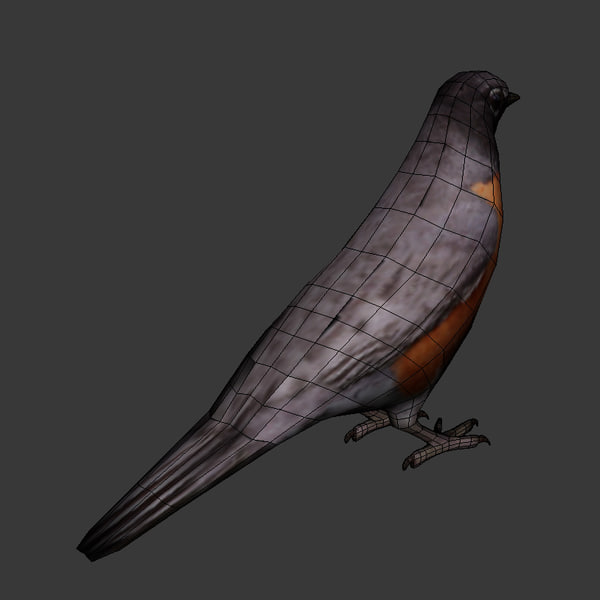 birds 12 3d model