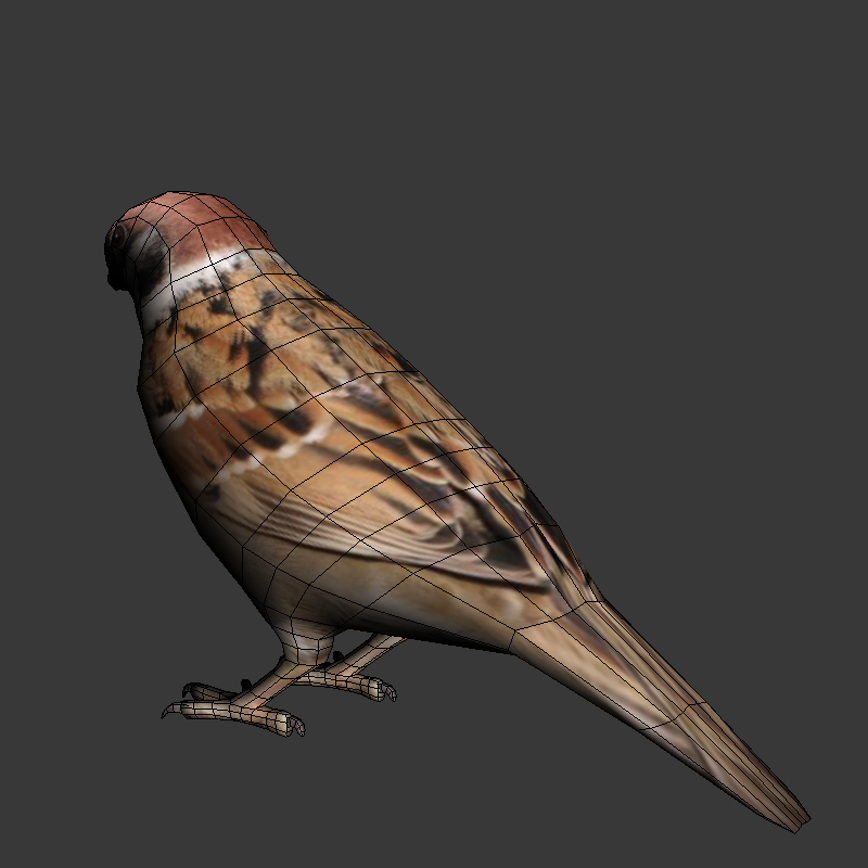 birds 12 3d model