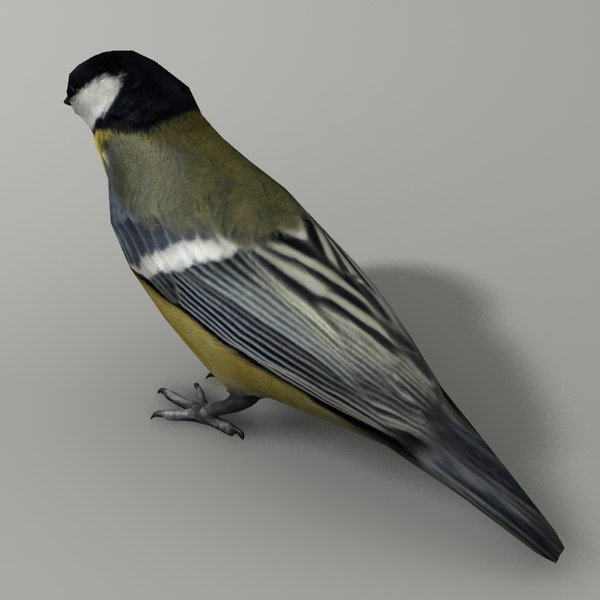 birds 12 3d model