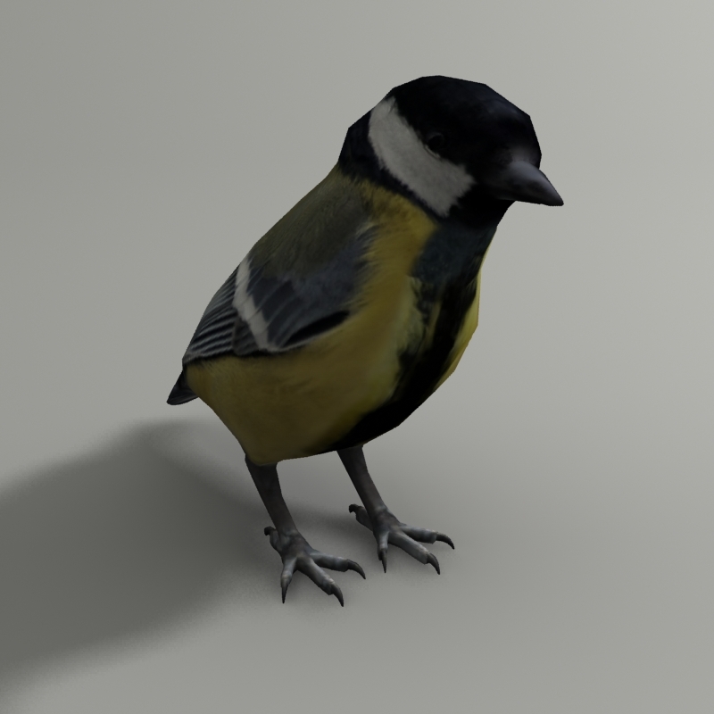 birds 12 3d model