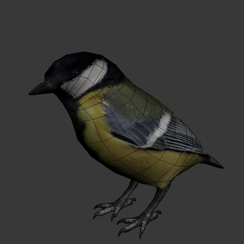 birds 12 3d model