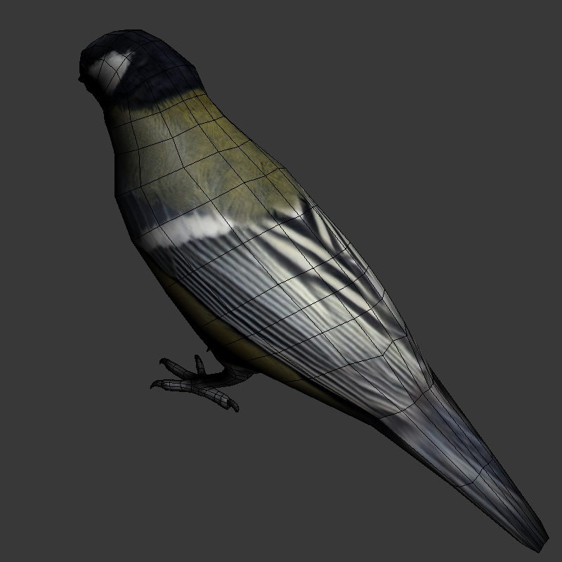 birds 12 3d model