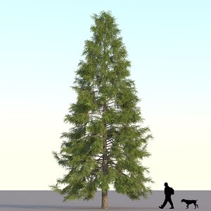 spruce tree 3d max