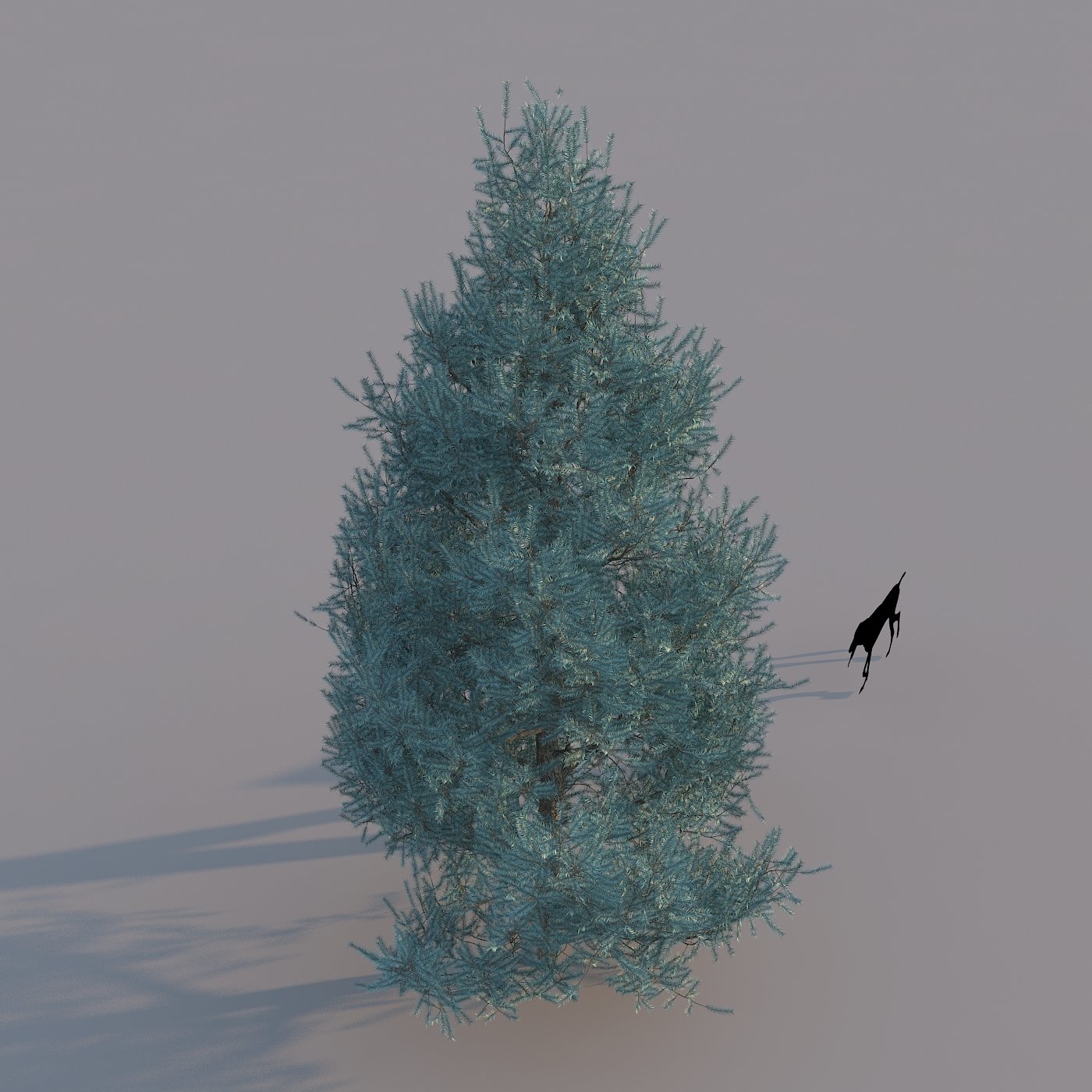 spruce tree 3d model