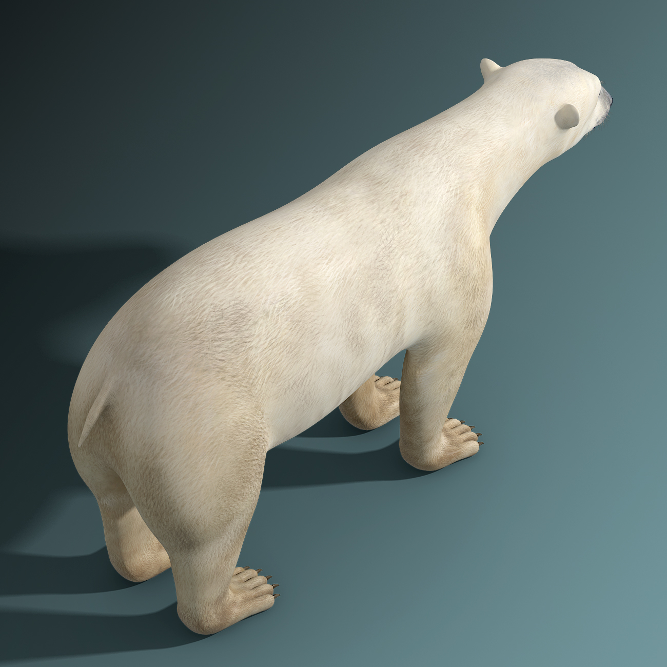 3d obj polar bear
