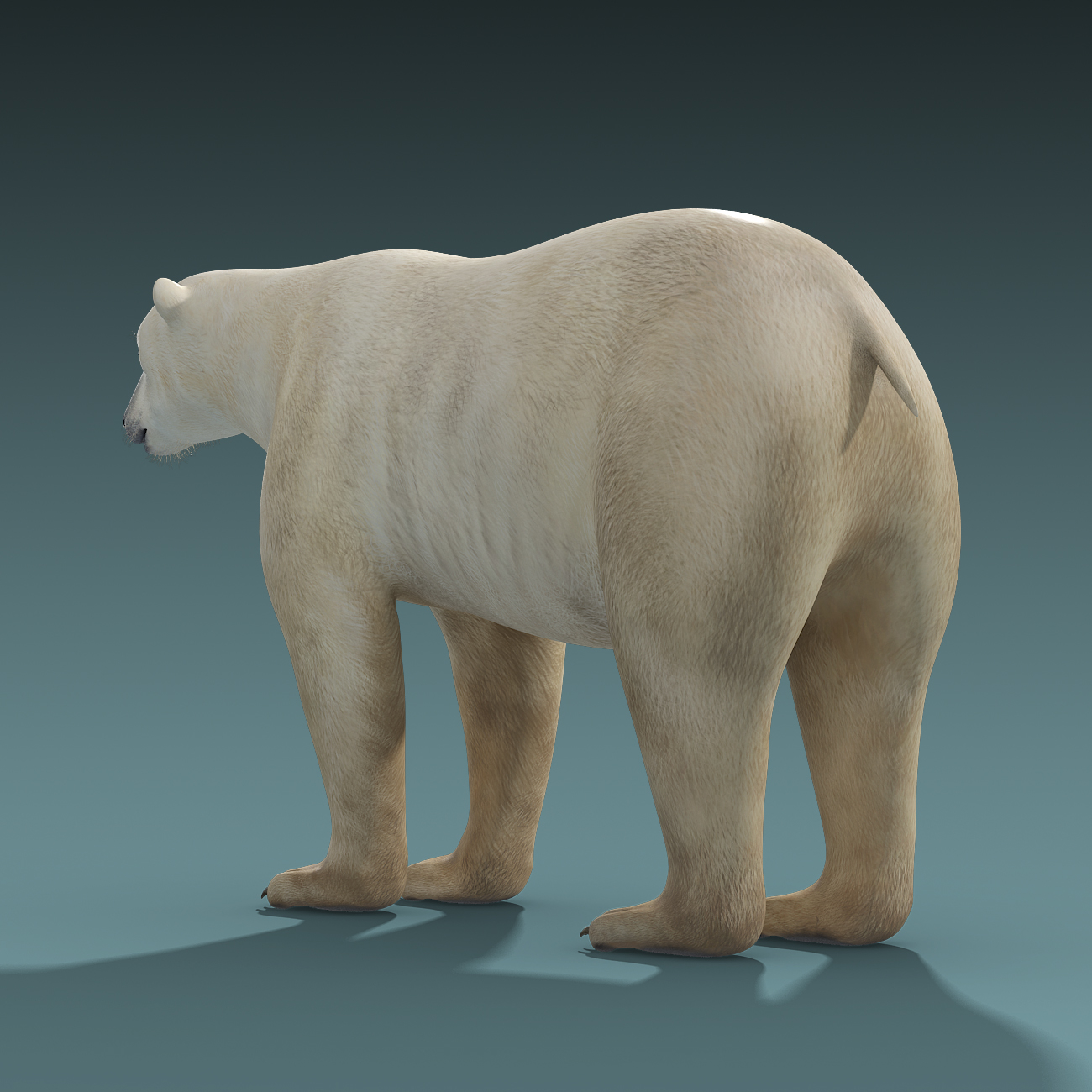 3d obj polar bear