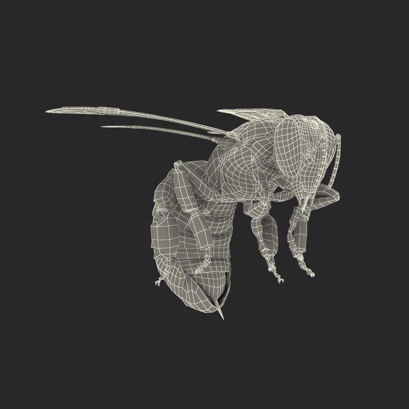 bee pose 3 3d max