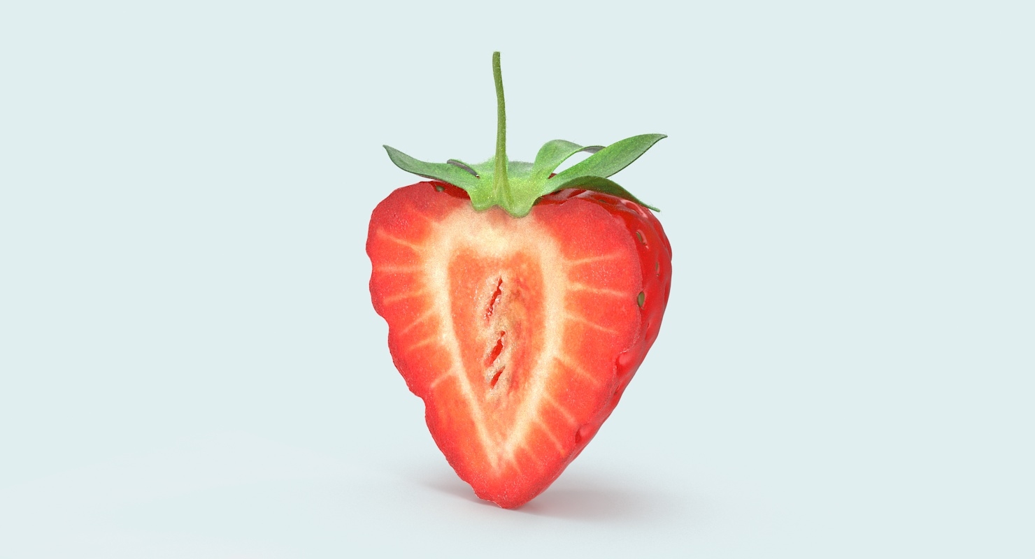 strawberry cross section 3d max