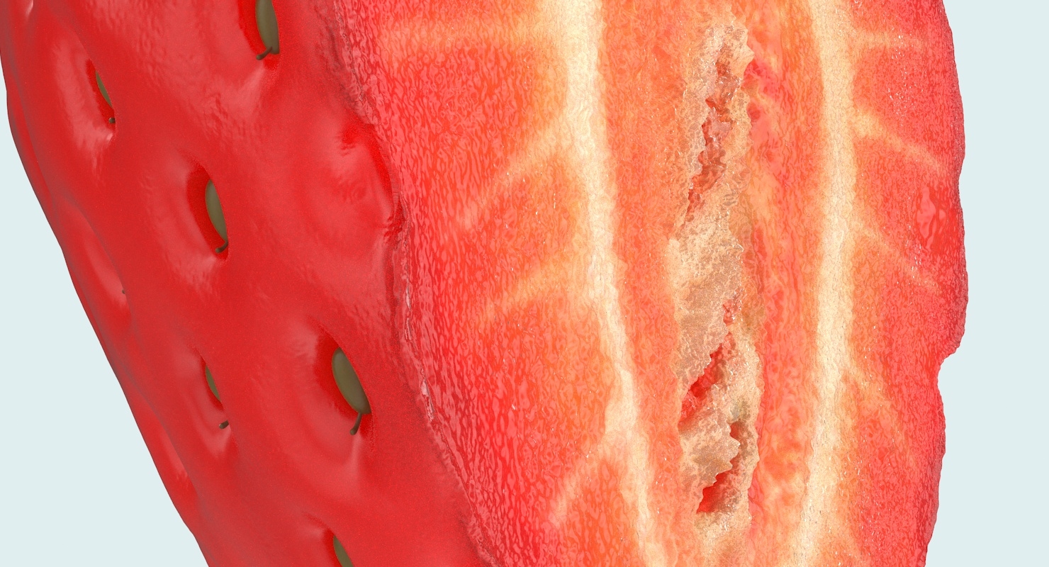strawberry cross section 3d max