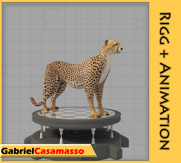 Cheetah 3D Models for Download | TurboSquid