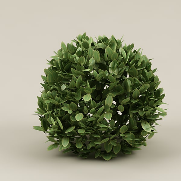 bush 3d max