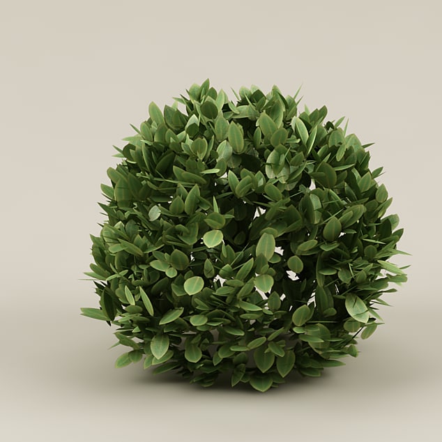 plant bush 3d model