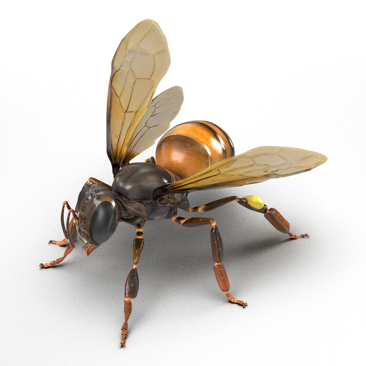 honey bee pose 2 3d max